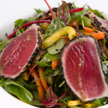 Warm Citrus Tuna Salad – MyDailyMoment